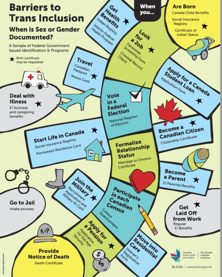 Removing barriers for trans and non-binary people in Canada – CFNHRI